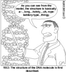 DNA Testing Information | Clan MacNicol Federation
